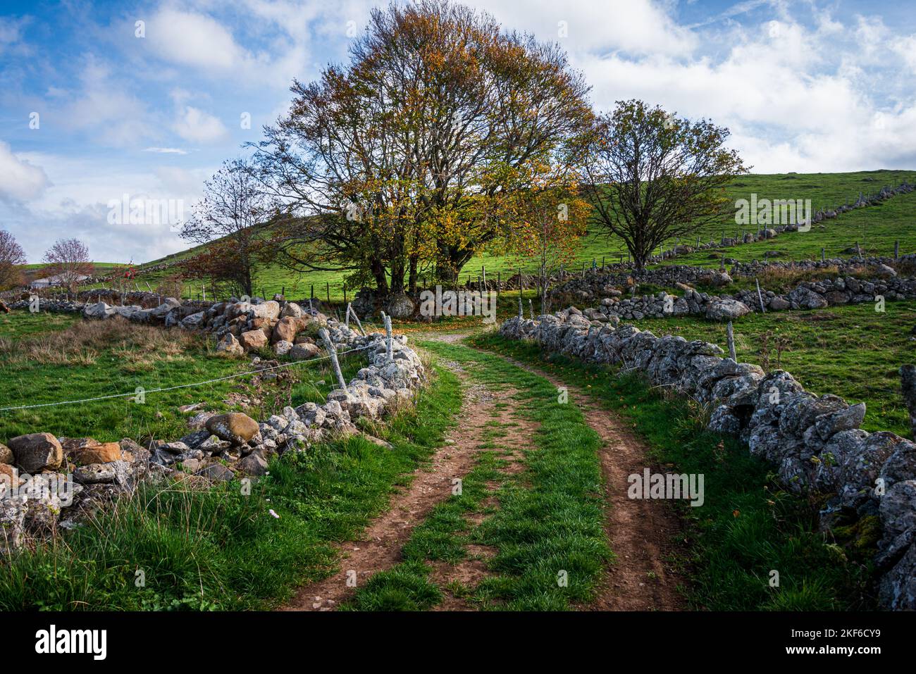 beautiful footpath in lozere france , the saint james way or ...