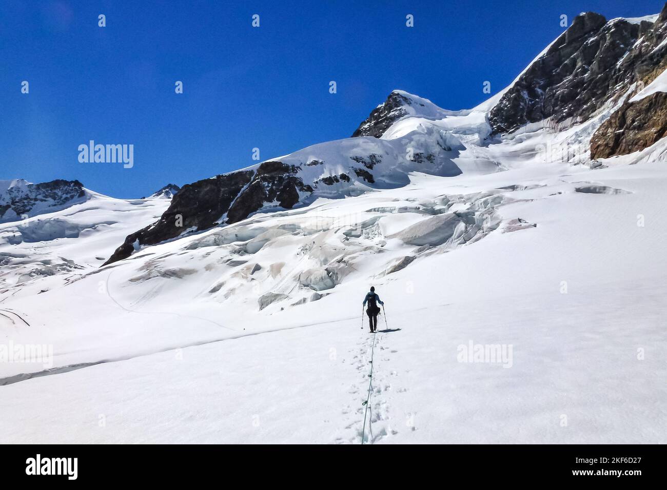 Description: Mountaineer secured by rope hikes over upper Aletsch ...