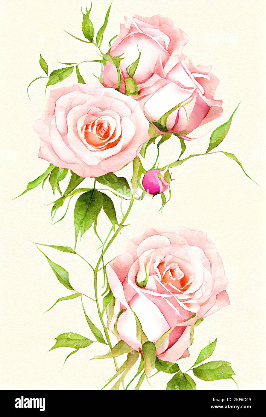 Illustration of Pink Rose in Watercolor Painting Style for wedding ...