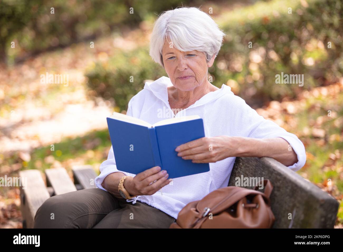 retired woman reading a book Stock Photo - Alamy