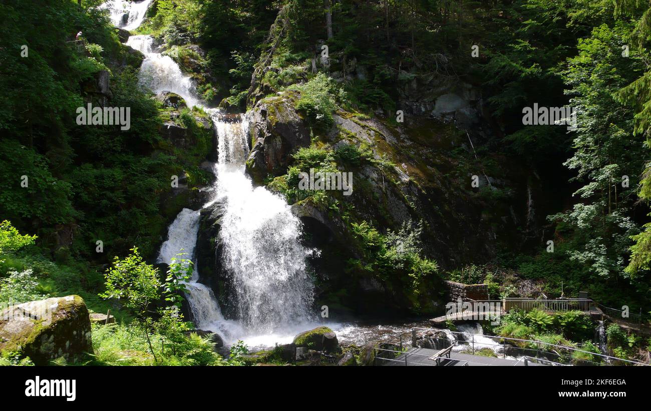 Triberg Waterfall Black Forest Germany Forest Big Blue Sky Stock Photo ...