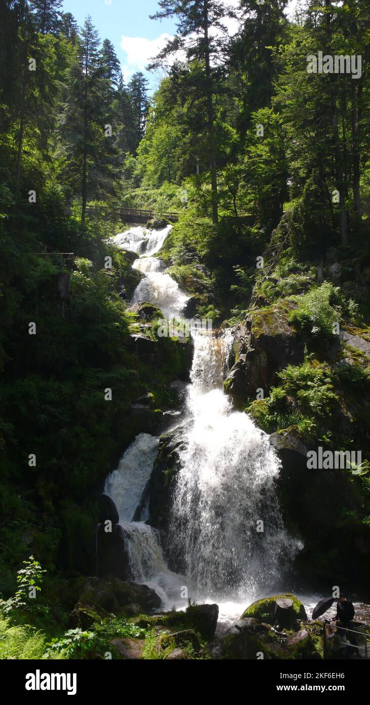Triberg Waterfall Black Forest Germany Forest Big Blue Sky Stock Photo ...