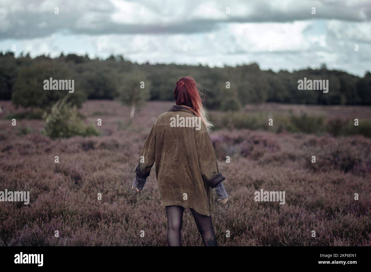 Young woman with red hair standing in a purple heather field Stock ...