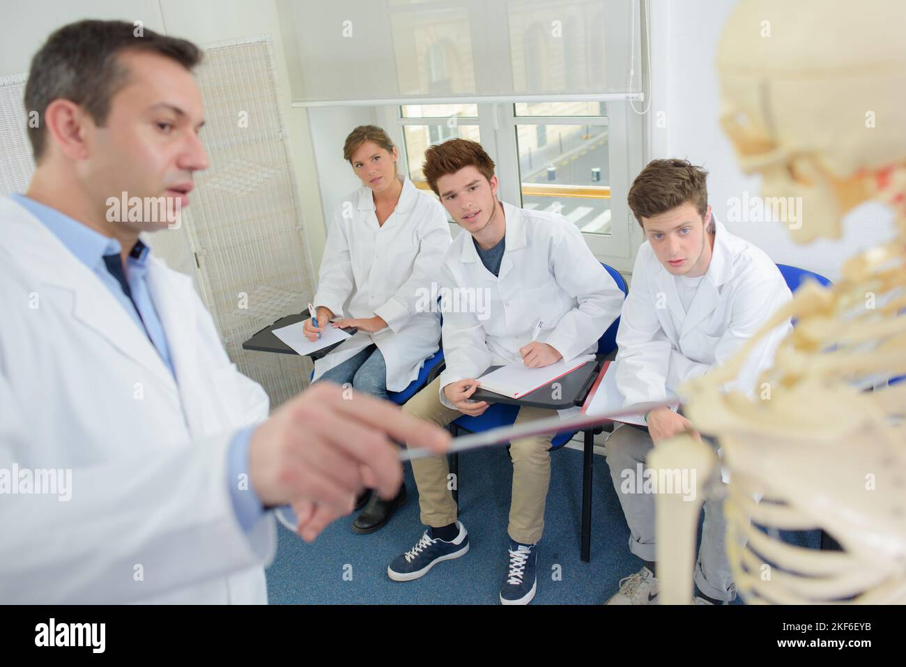 Teacher pointing to skeleton while giving lecture to students Stock ...