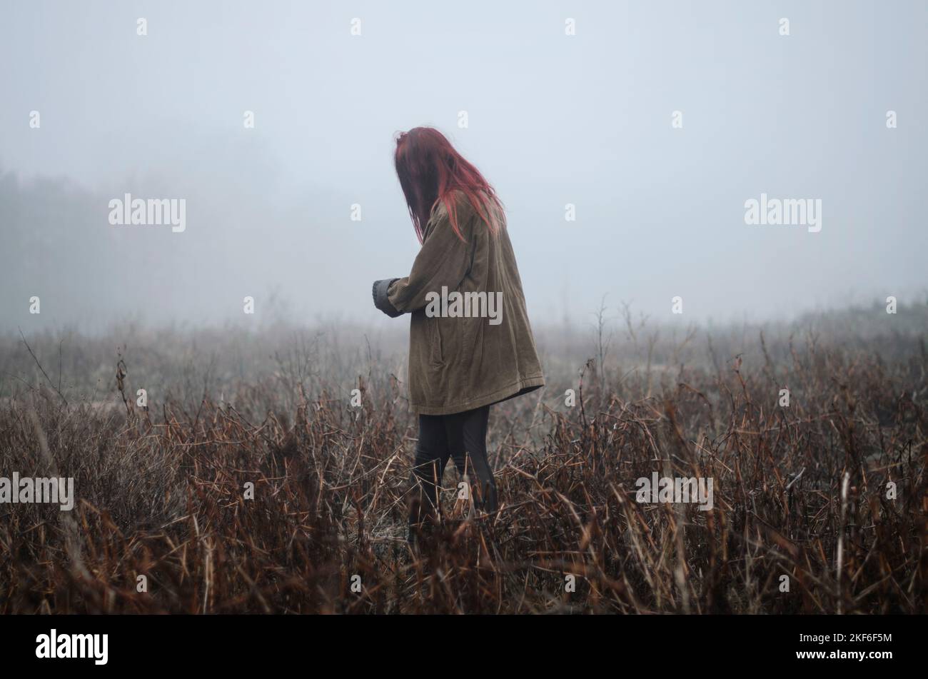 Person standing in a misty field hi-res stock photography and images ...