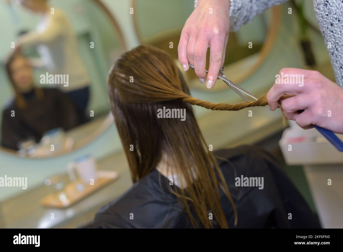 hairdresser cutting twisted lock of hair Stock Photo - Alamy
