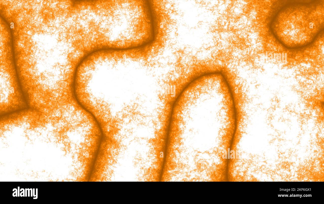 cells and walls patterns lines on abstract creative background texture ...