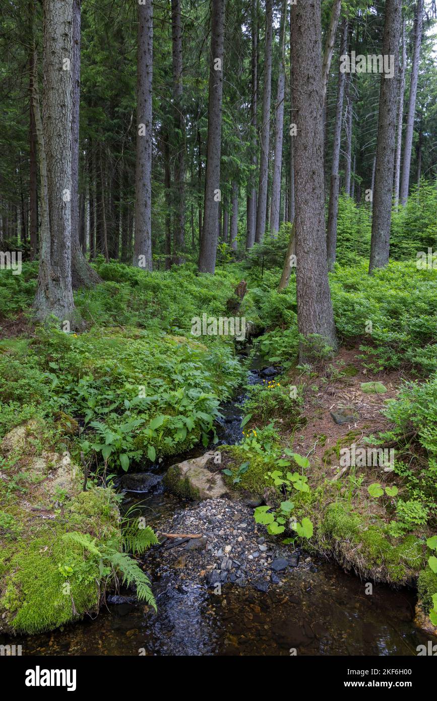 Moravian mountains hi-res stock photography and images - Alamy