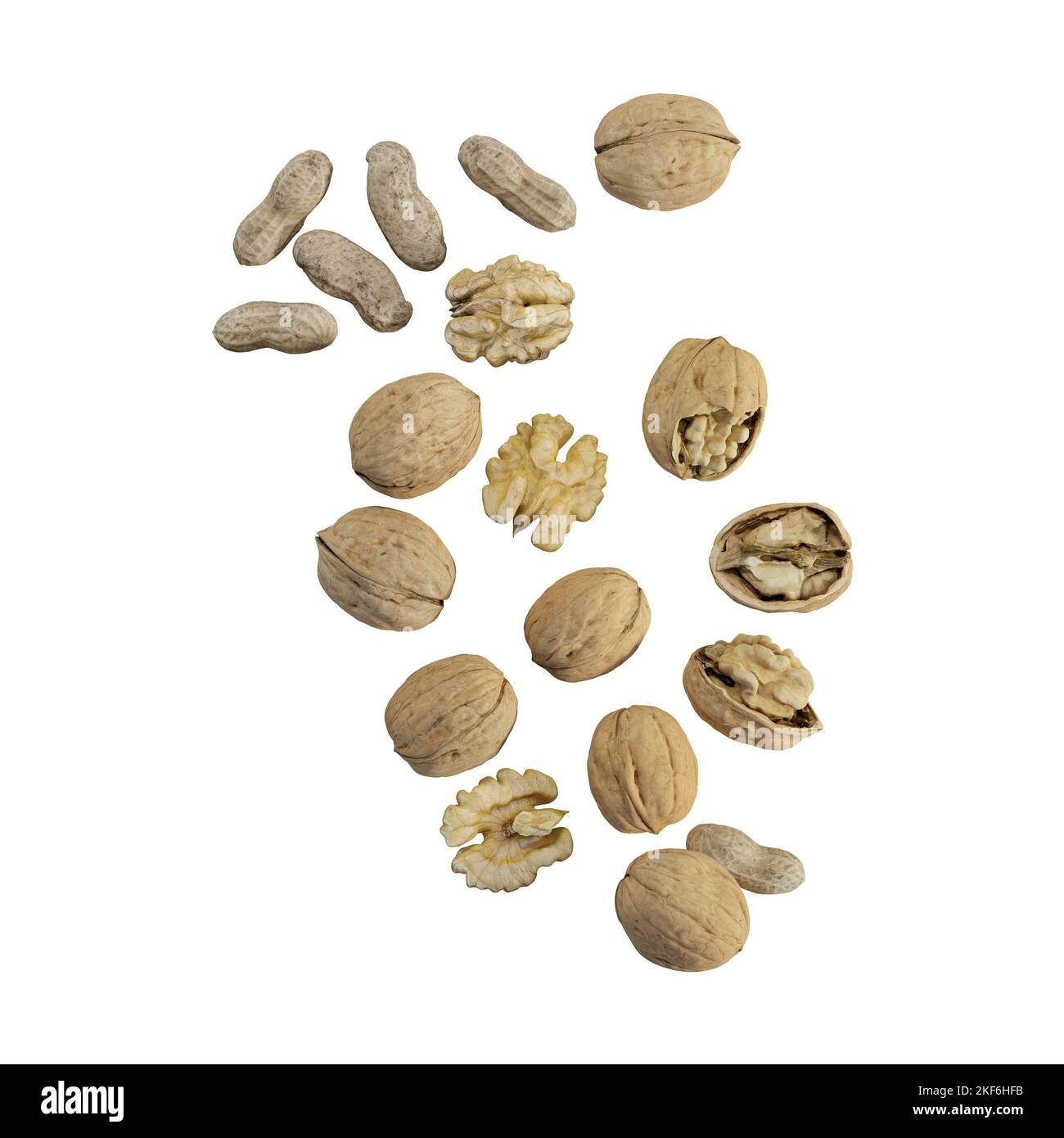 The realistic 3d peanuts and walnuts isolated on a vertical white ...