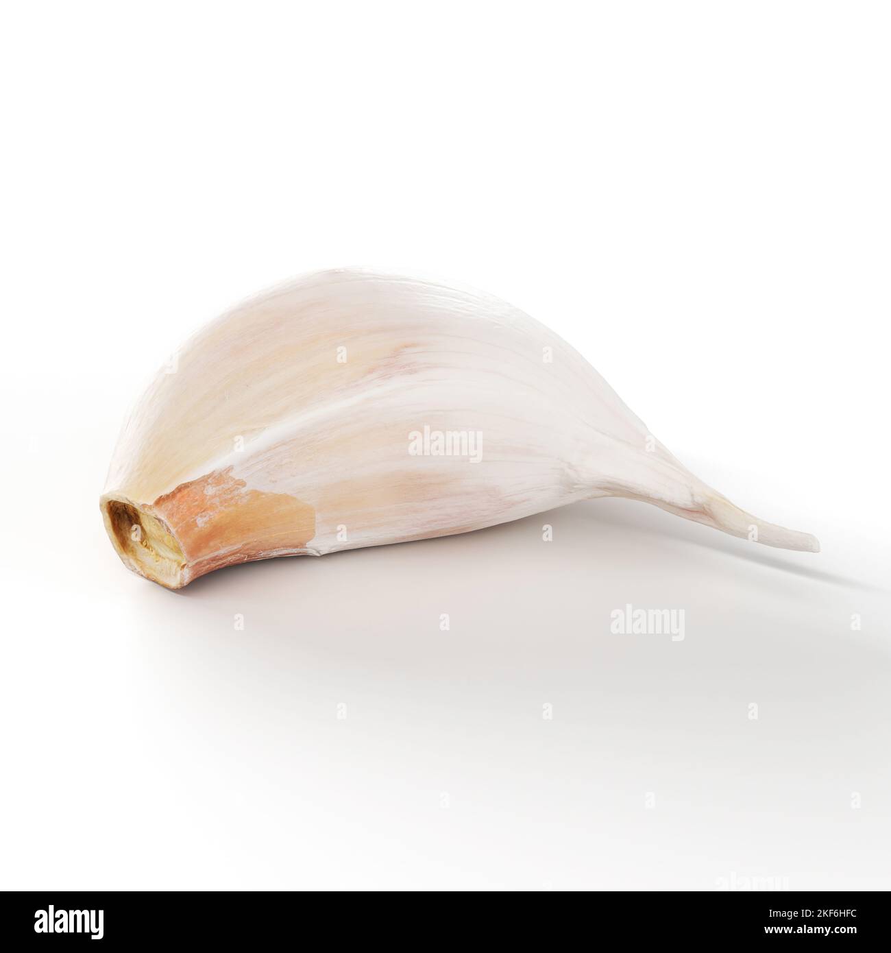 A realistic 3d garlic clove isolated on a vertical white background ...