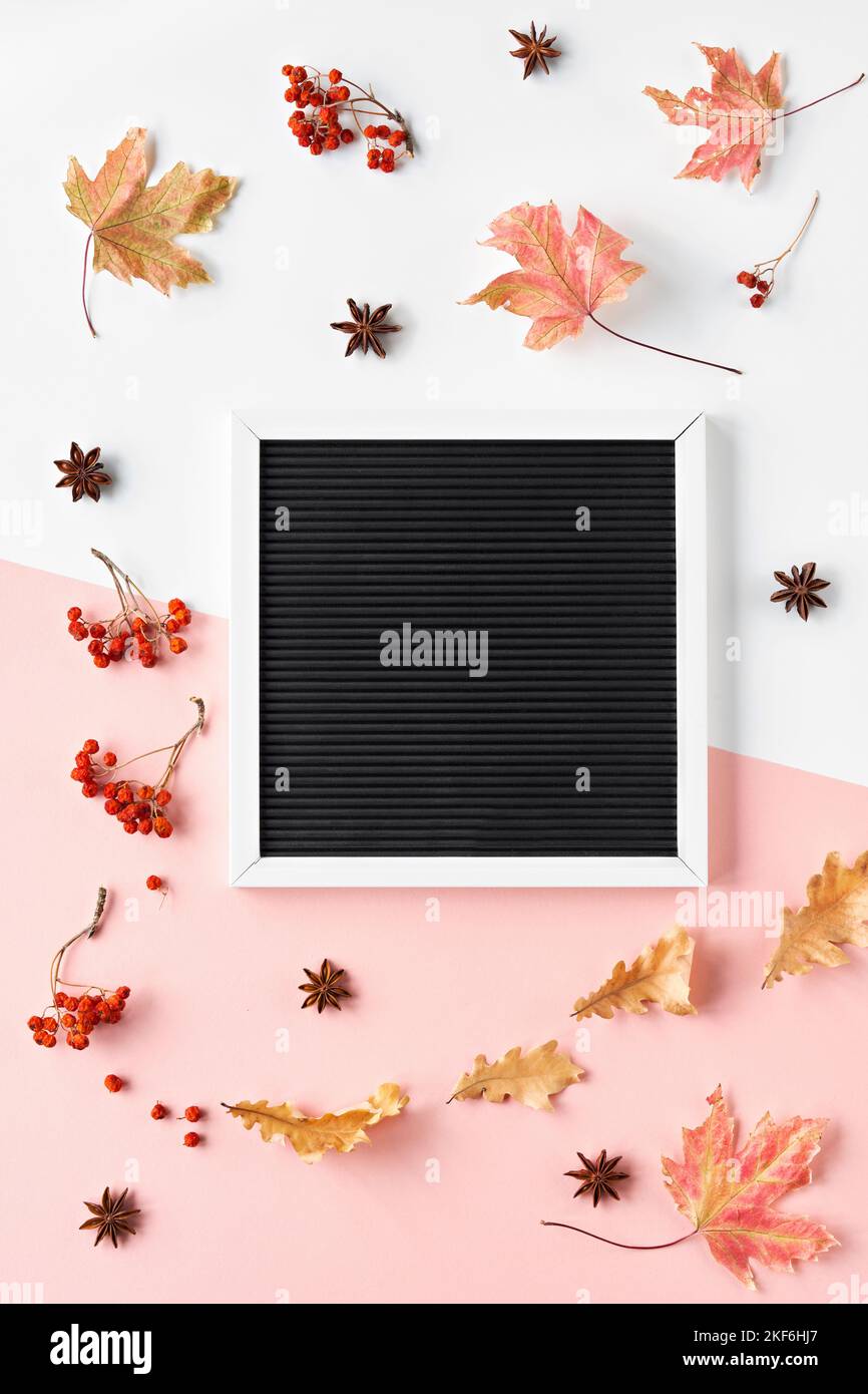 Autumn leaves, spices and rowan berry, flat lay composition. Fall ...