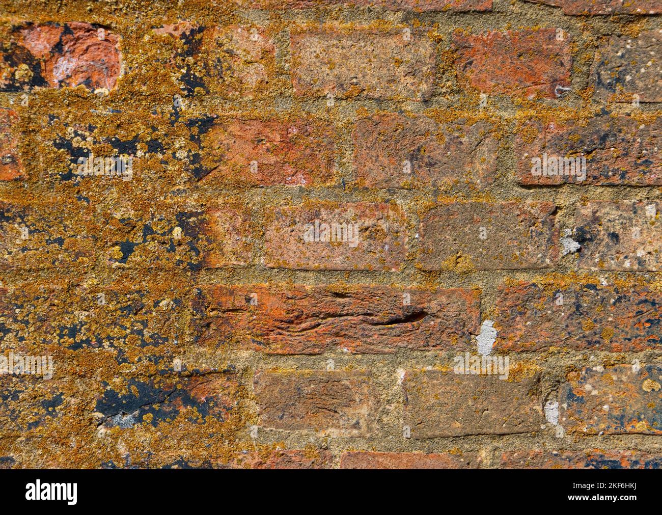Old weathered red brick wall background Stock Photo - Alamy
