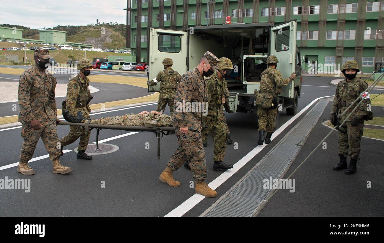 Military medical staff hi-res stock photography and images - Alamy