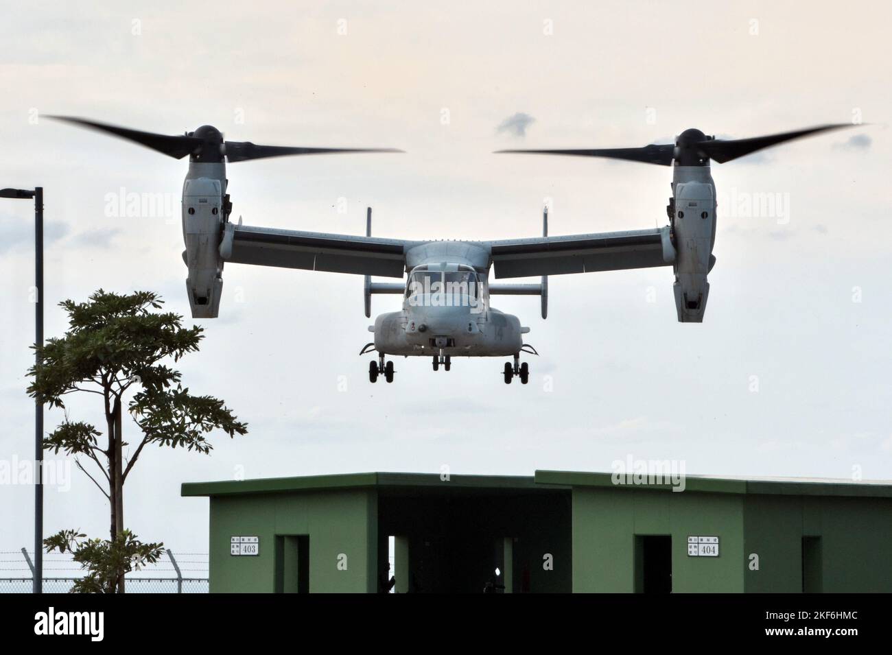 Amami, Japan. 16th Nov, 2022. NATO's military officers and Defense ...
