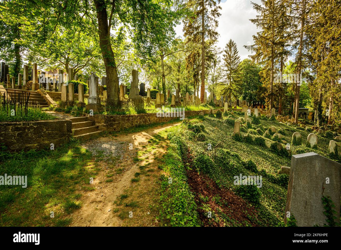 The Trebic Jewish cemetery is a national cultural monument in Trebic-na ...