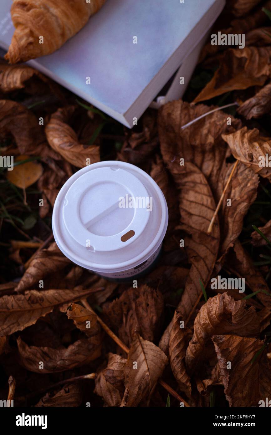 Autumn scene. Coffee cup and books Stock Photo - Alamy
