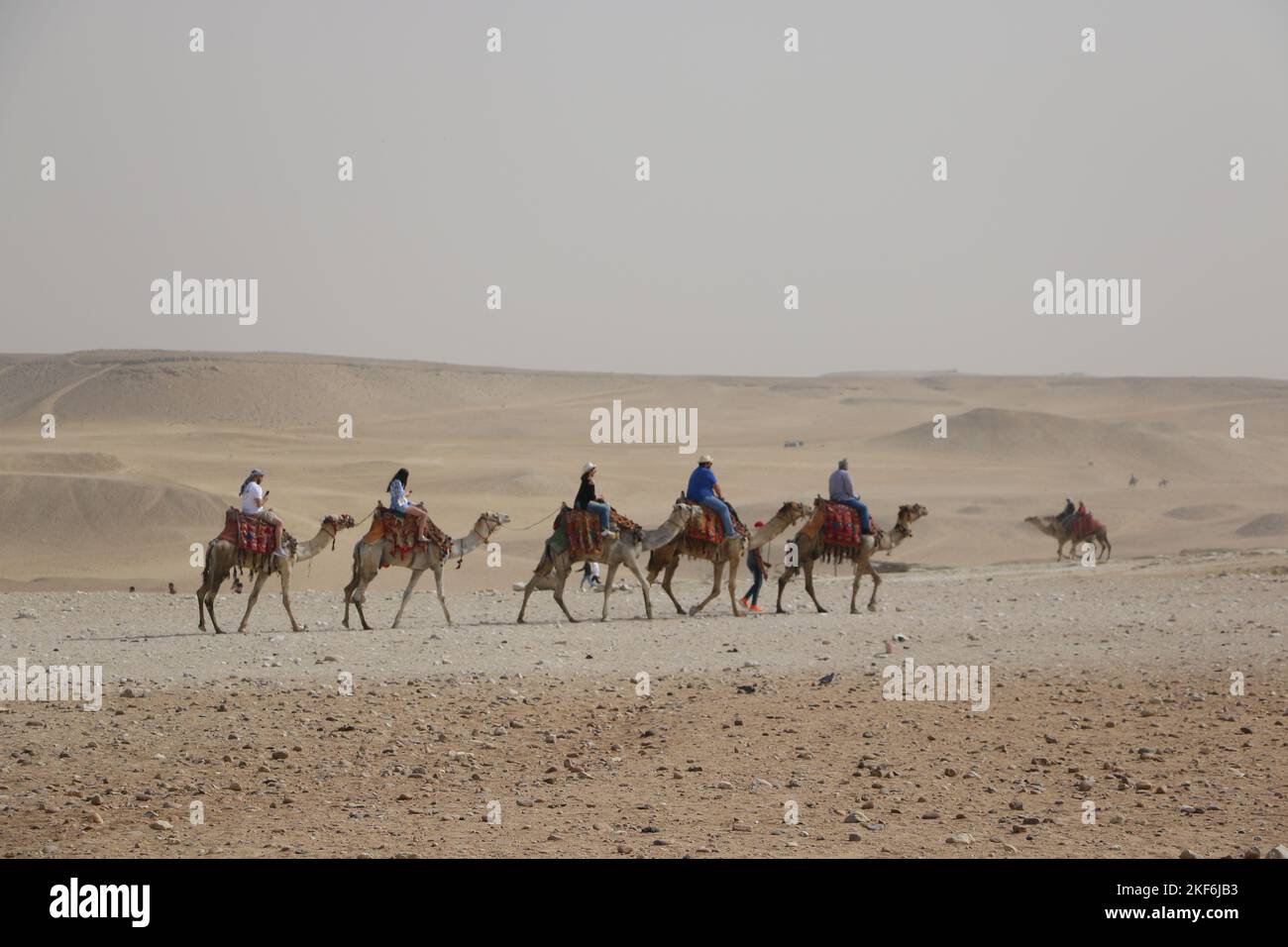 A beautiful view of a desert with camels caravan Stock Photo - Alamy