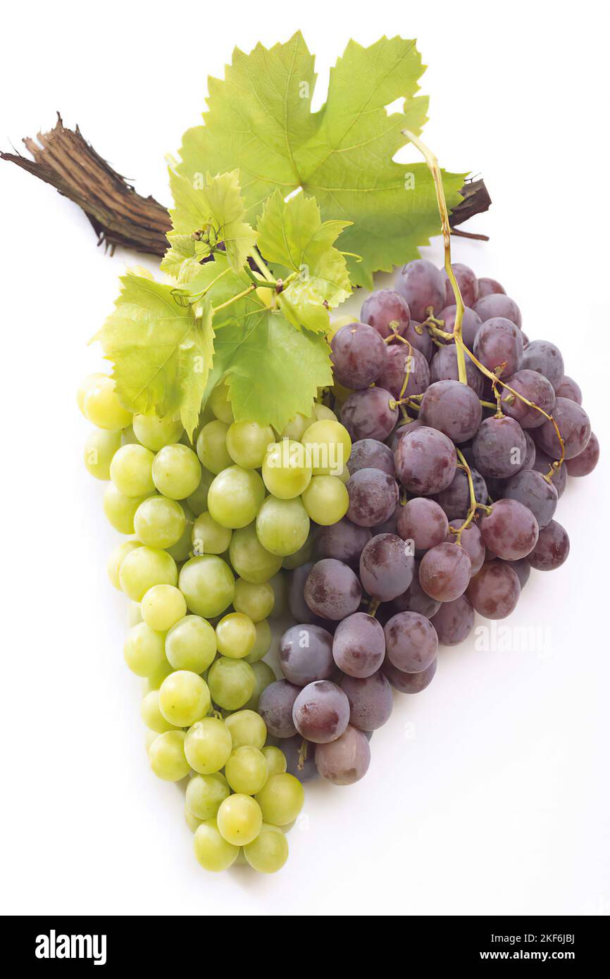 Red and white grapes Stock Photo - Alamy