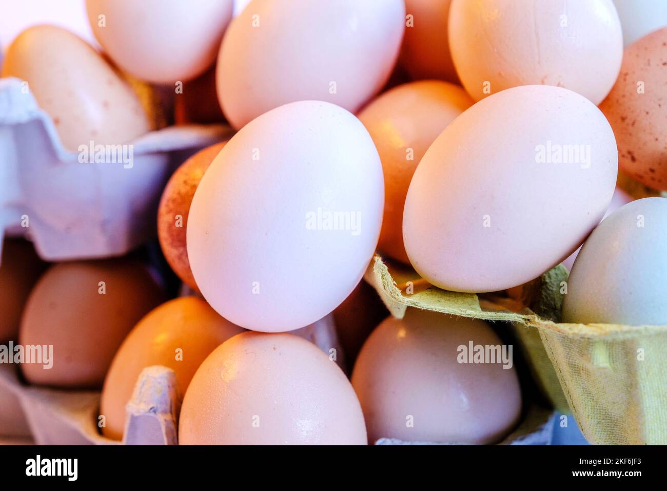 Organic chicken eggs in paper egg box with compartments. Eggs contain ...