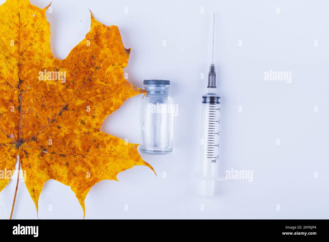 Autumn maple leaf and syringe with vaccine on white background ...