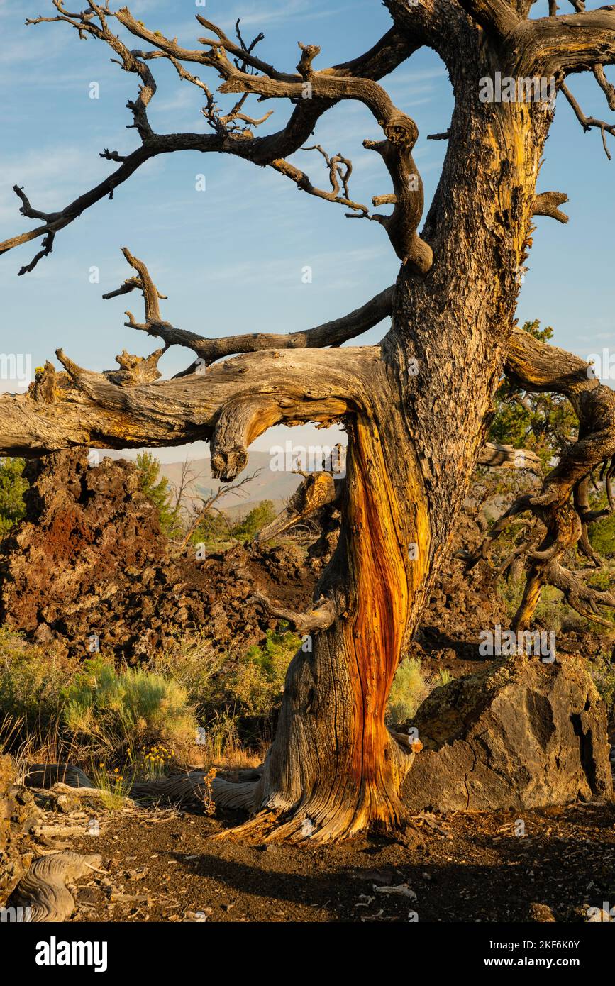 Photograph from the Craters of the Moon National Monument near Arco ...