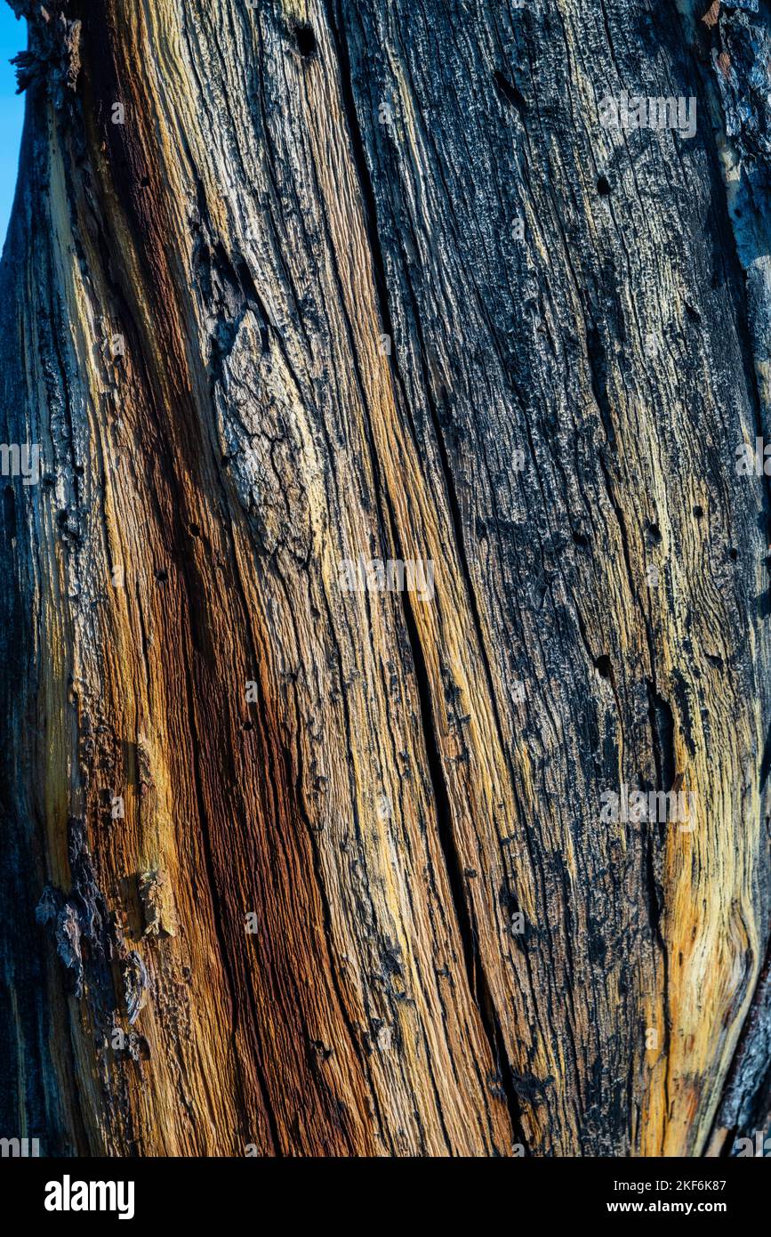 Photograph from the Craters of the Moon National Monument near Arco ...