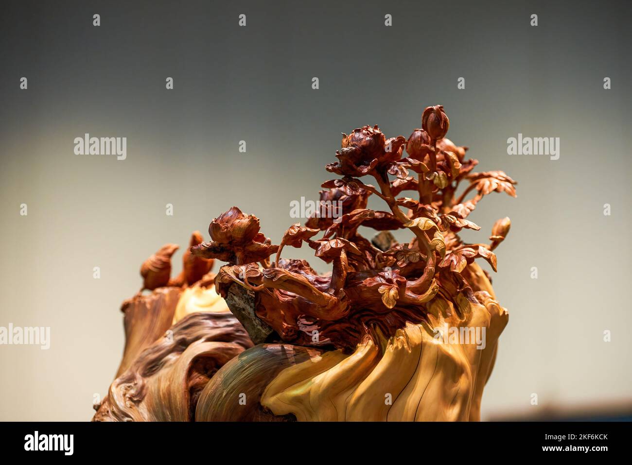 Close-up of a delicate wooden root carving Stock Photo - Alamy