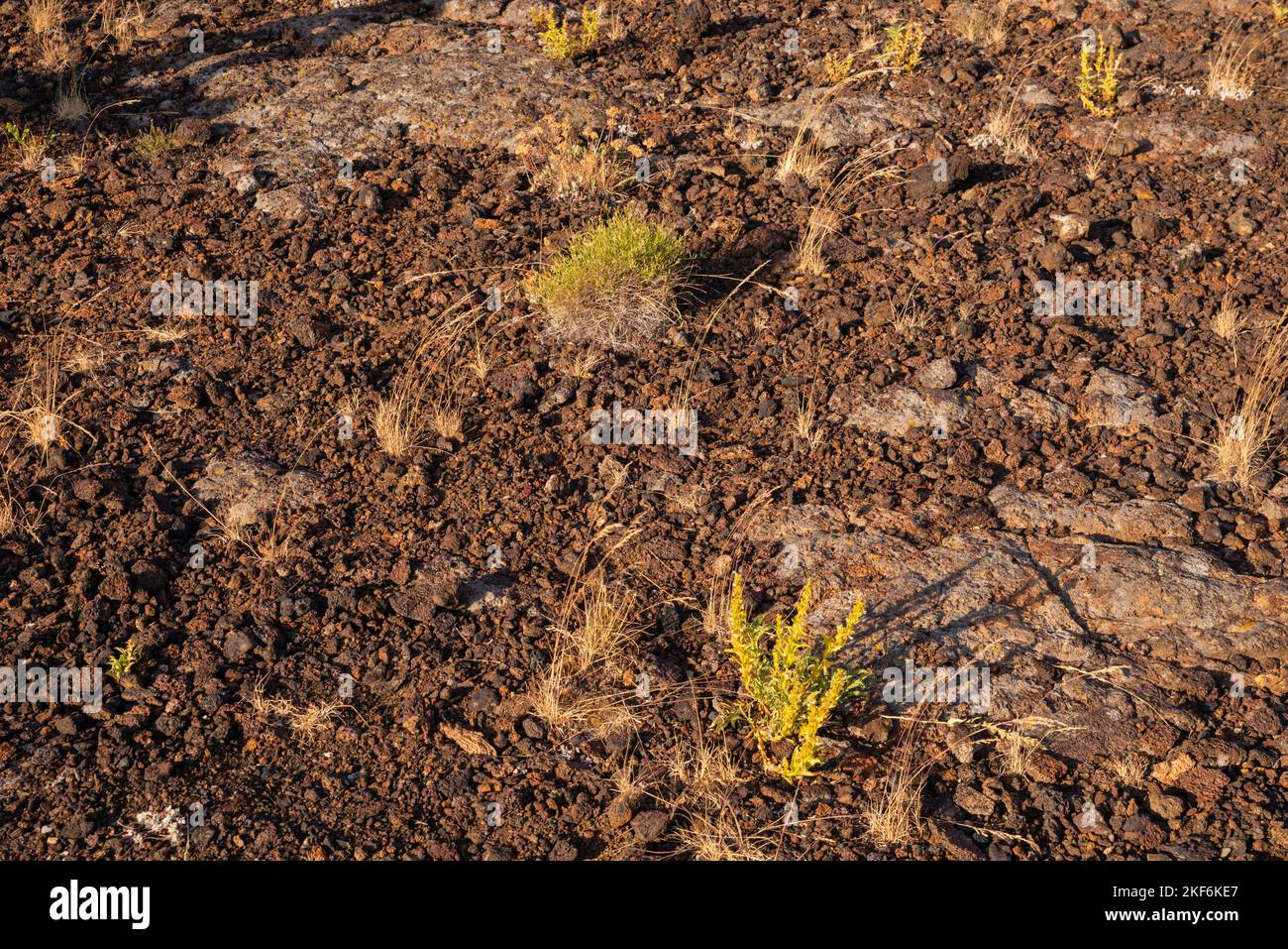 Photograph from the Craters of the Moon National Monument near Arco ...