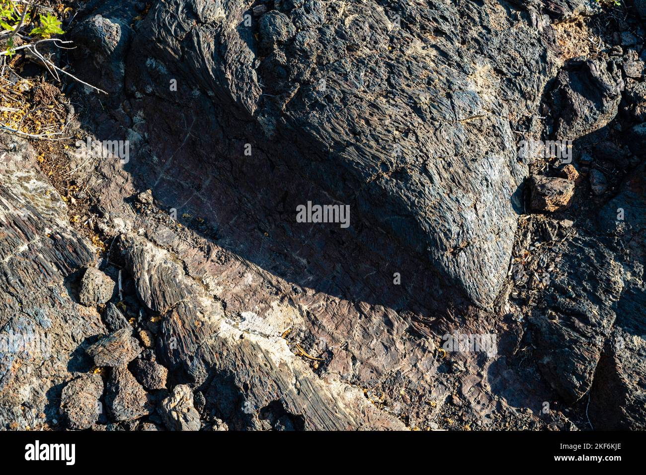 Photograph of a tree mold, where lava cooled on the bark of a downed ...