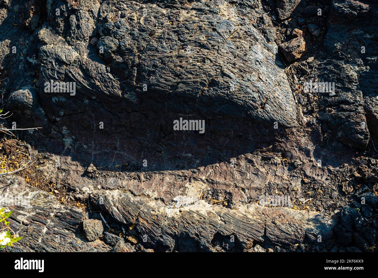 Photograph of a tree mold, where lava cooled on the bark of a downed ...