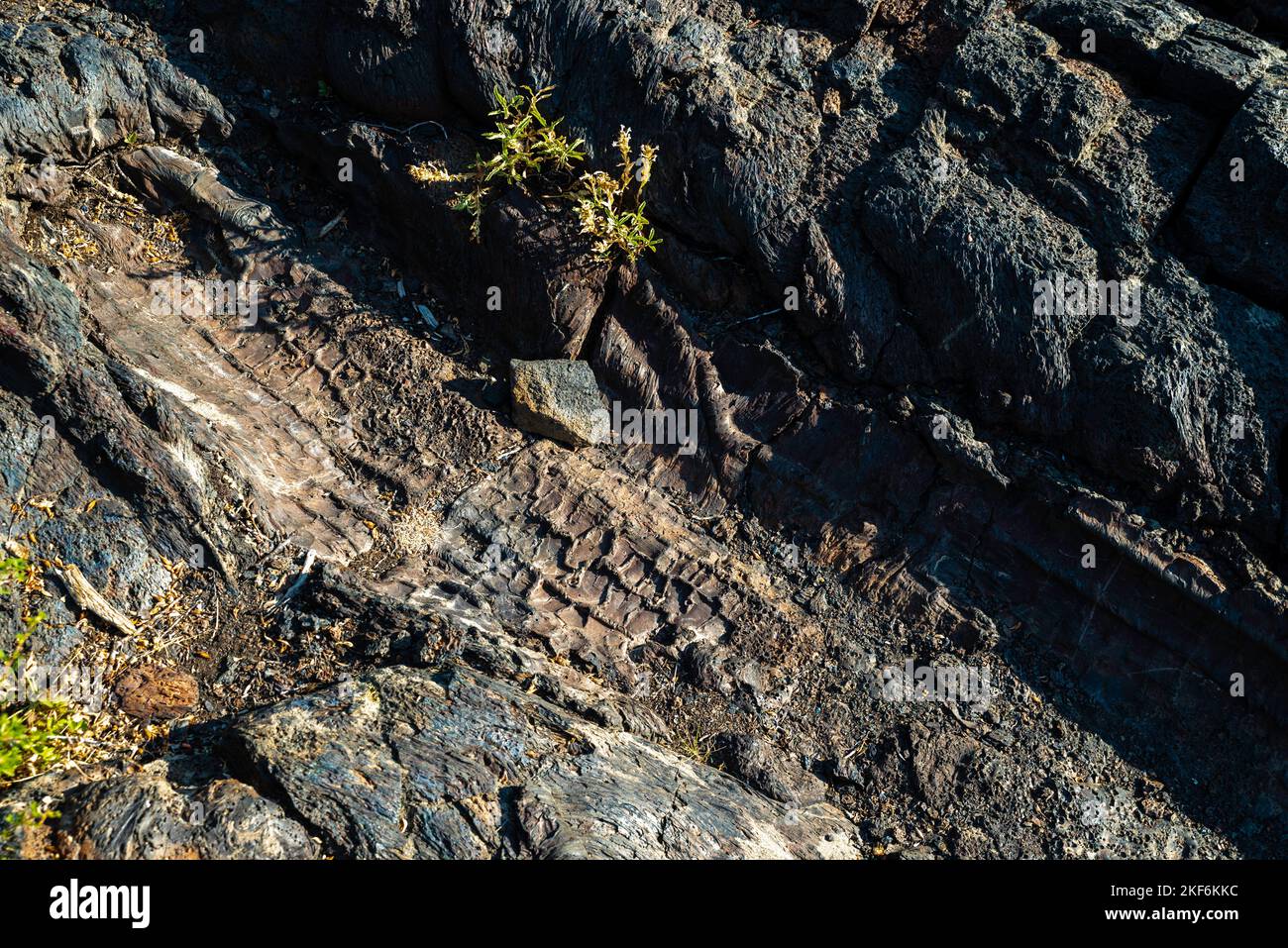 Photograph of a tree mold, where lava cooled on the bark of a downed ...