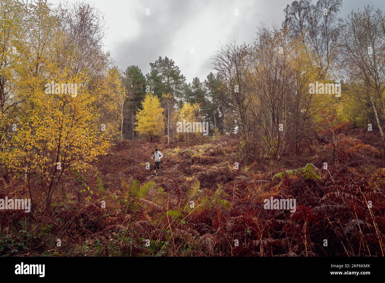 Man athlete running muddy hi-res stock photography and images - Alamy