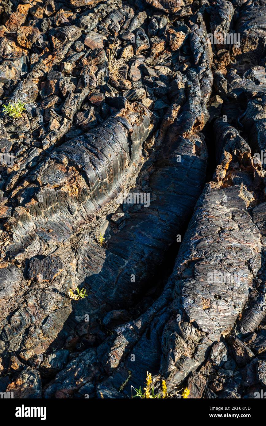 Photograph of a tree mold, where lava cooled on the bark of a downed ...