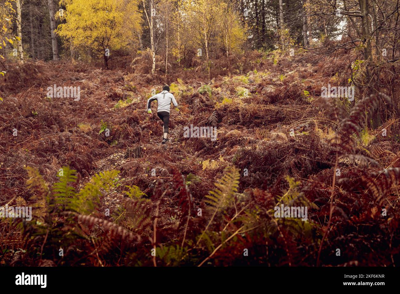 Man athlete running muddy hi-res stock photography and images - Alamy