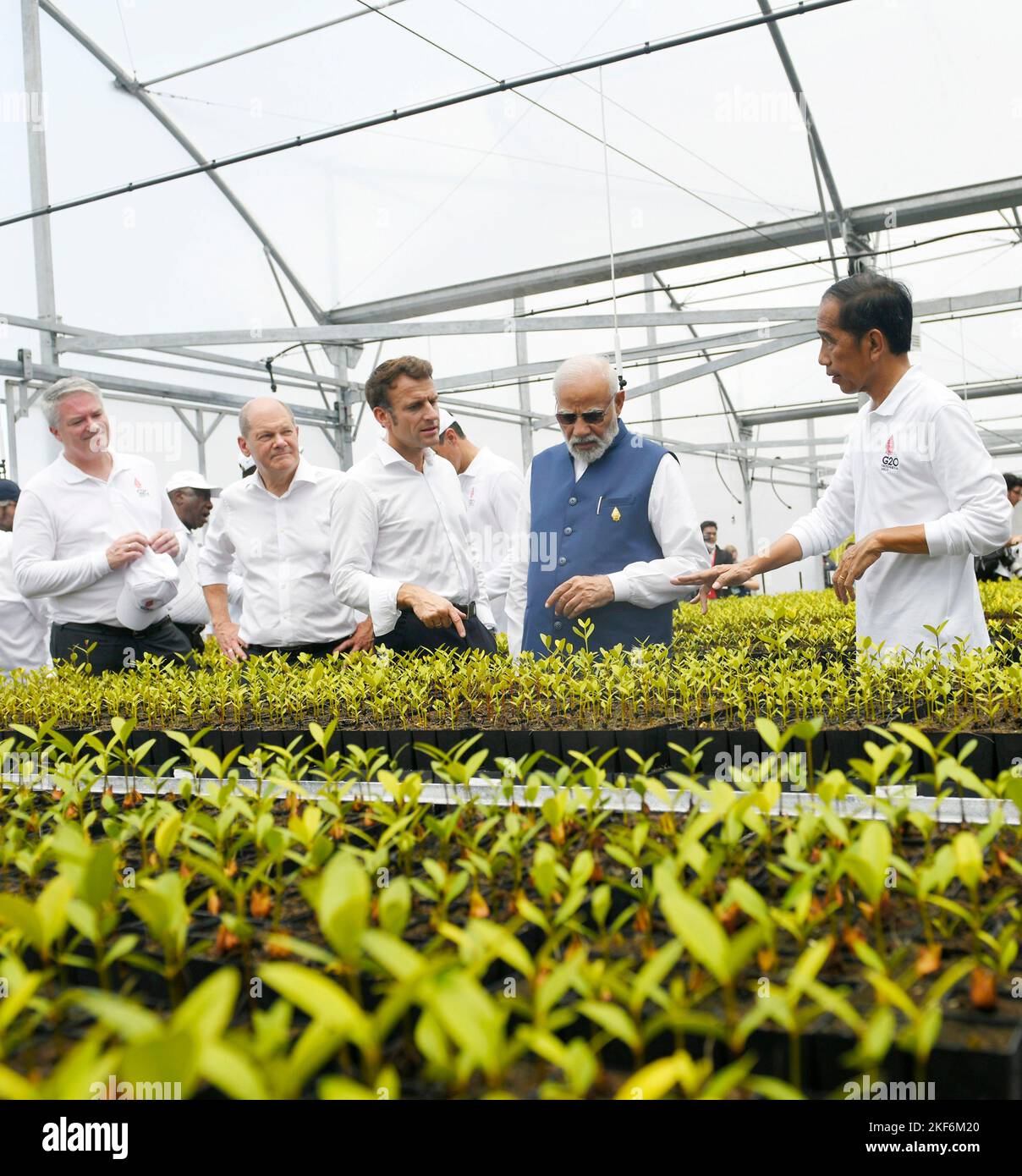 Taman hutan raya ngurah rai hi-res stock photography and images - Alamy