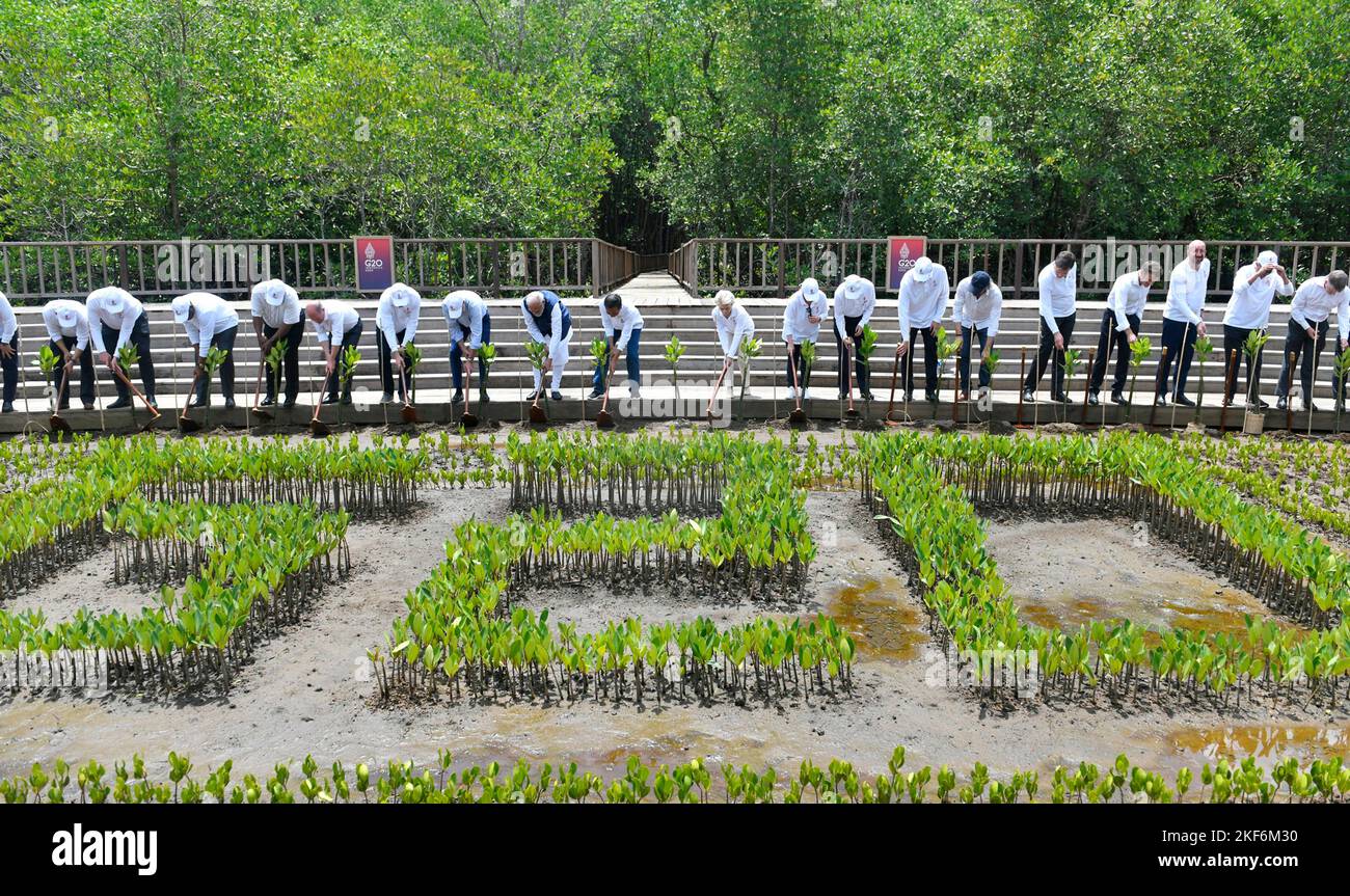 Taman hutan raya ngurah rai hi-res stock photography and images - Alamy