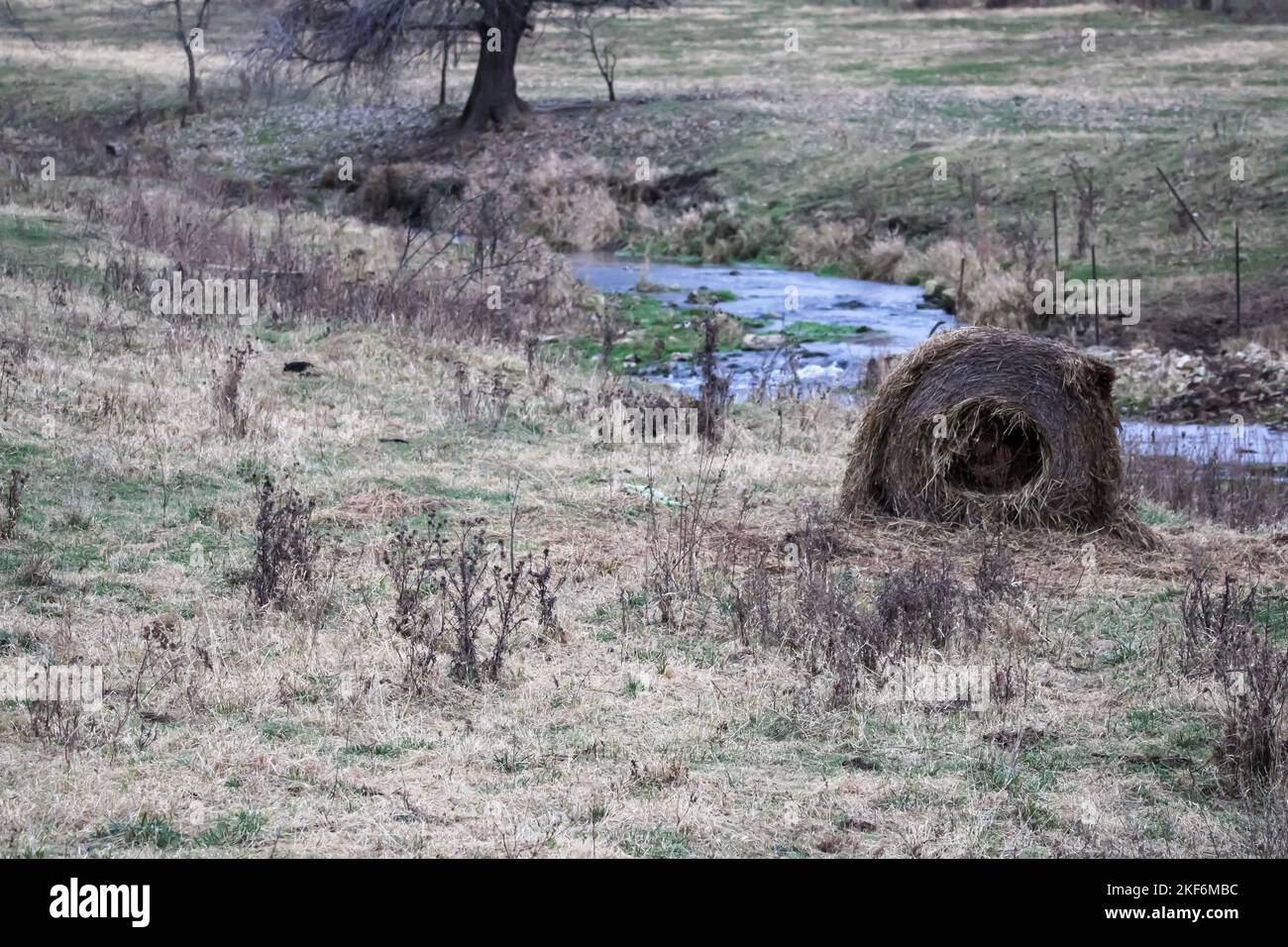 A closeup of decomposing hay near a stream in a field covered in the ...