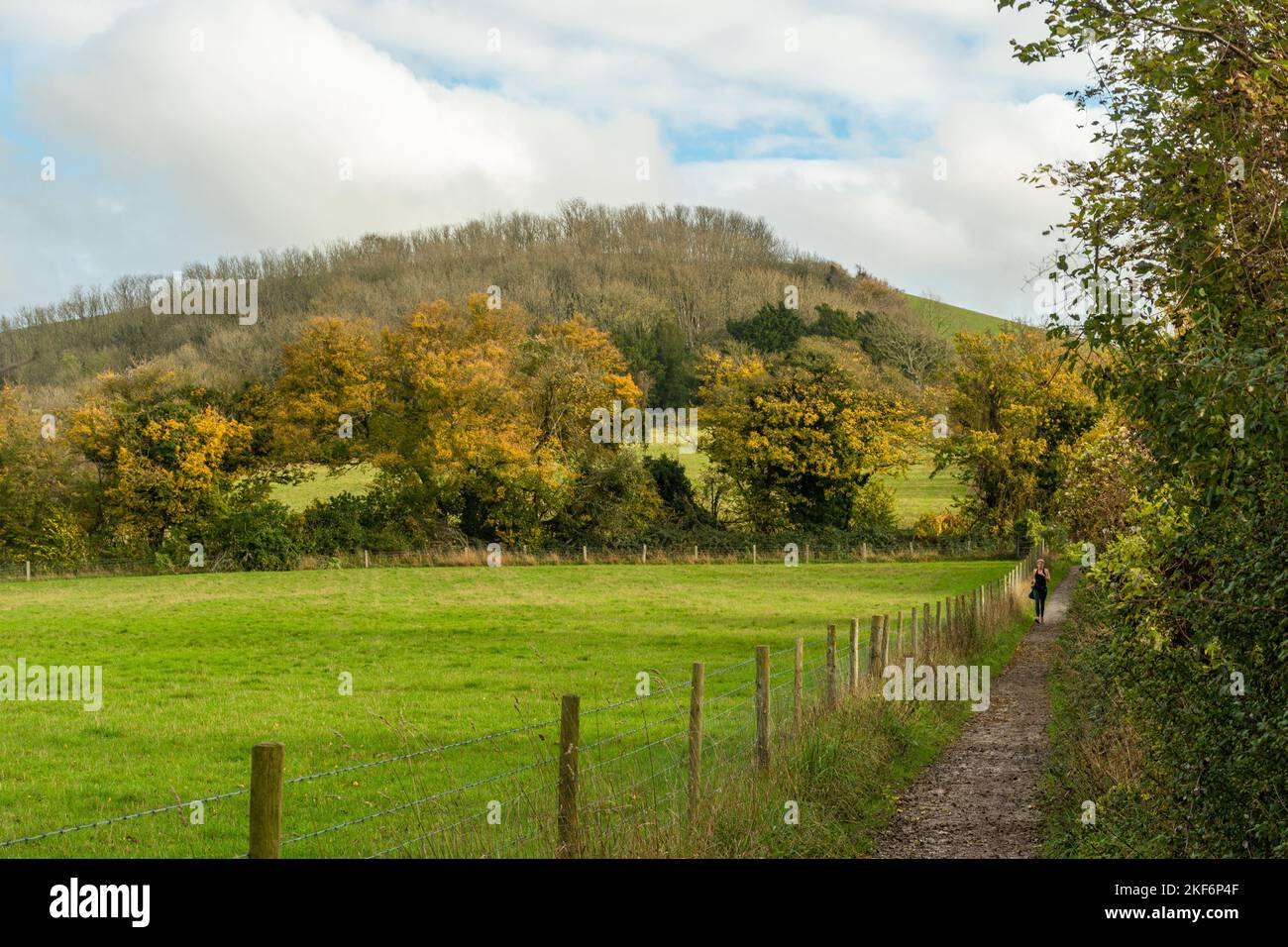 Hampshire countryside during autumn or November, view from the South ...