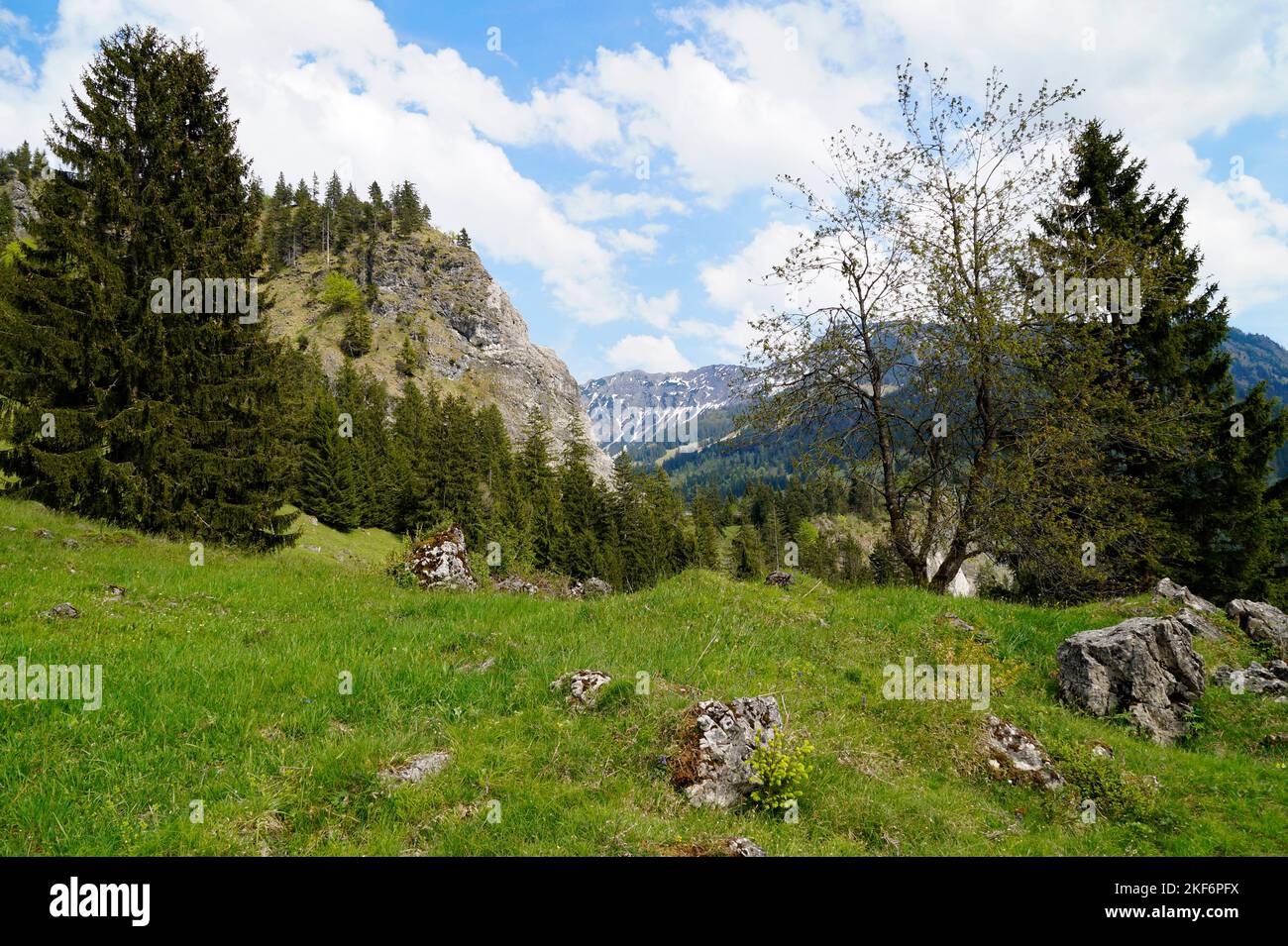 alpine view from a hiking trail in the scenic sun-drenched Bavarian ...