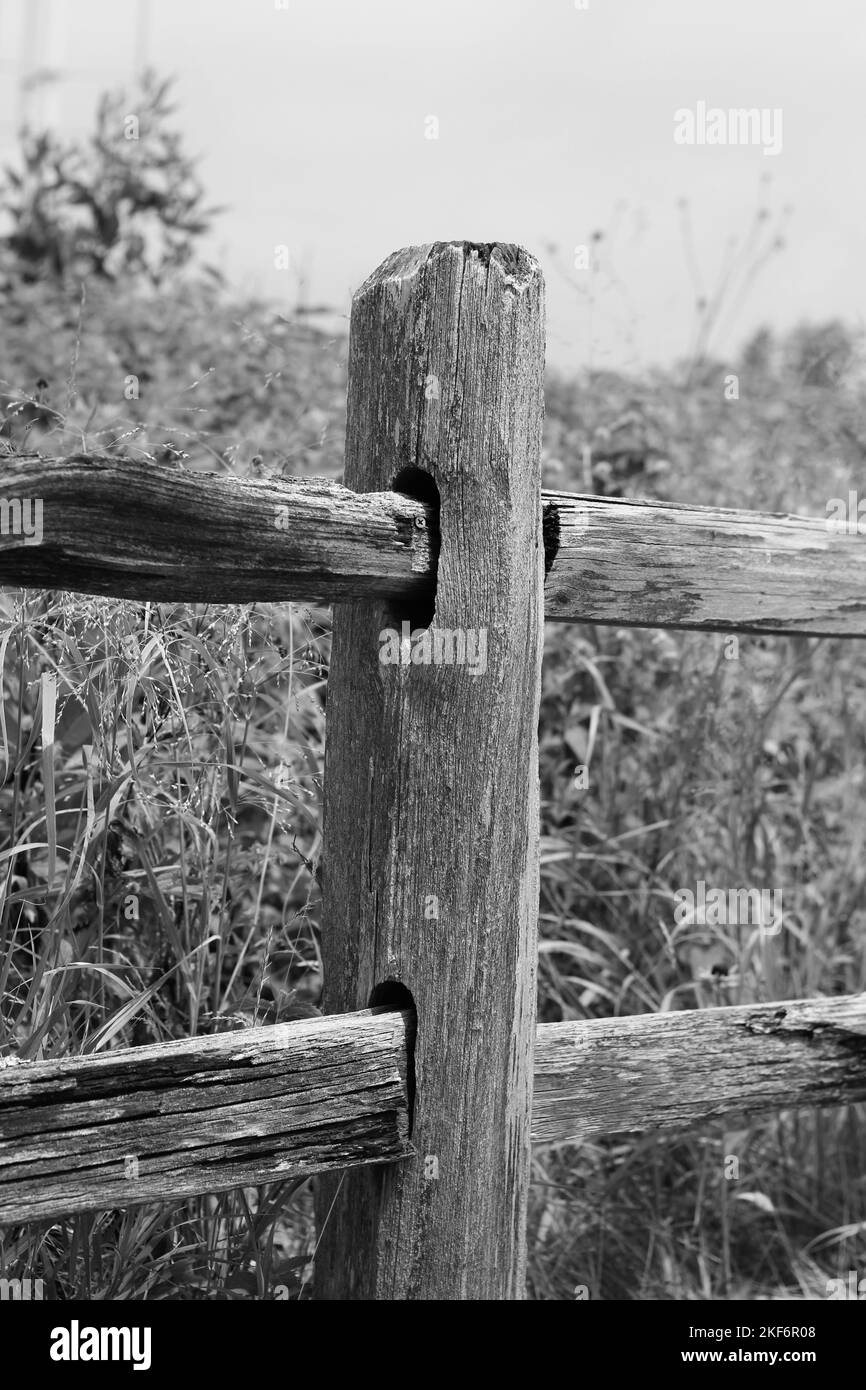 Typical common wooden fence post standing in the fields Ina black and ...