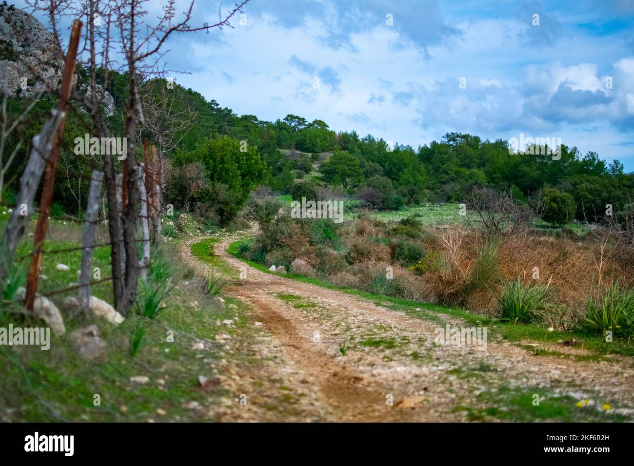 Dirt road in the countryside with a split rail fence and field Stock ...