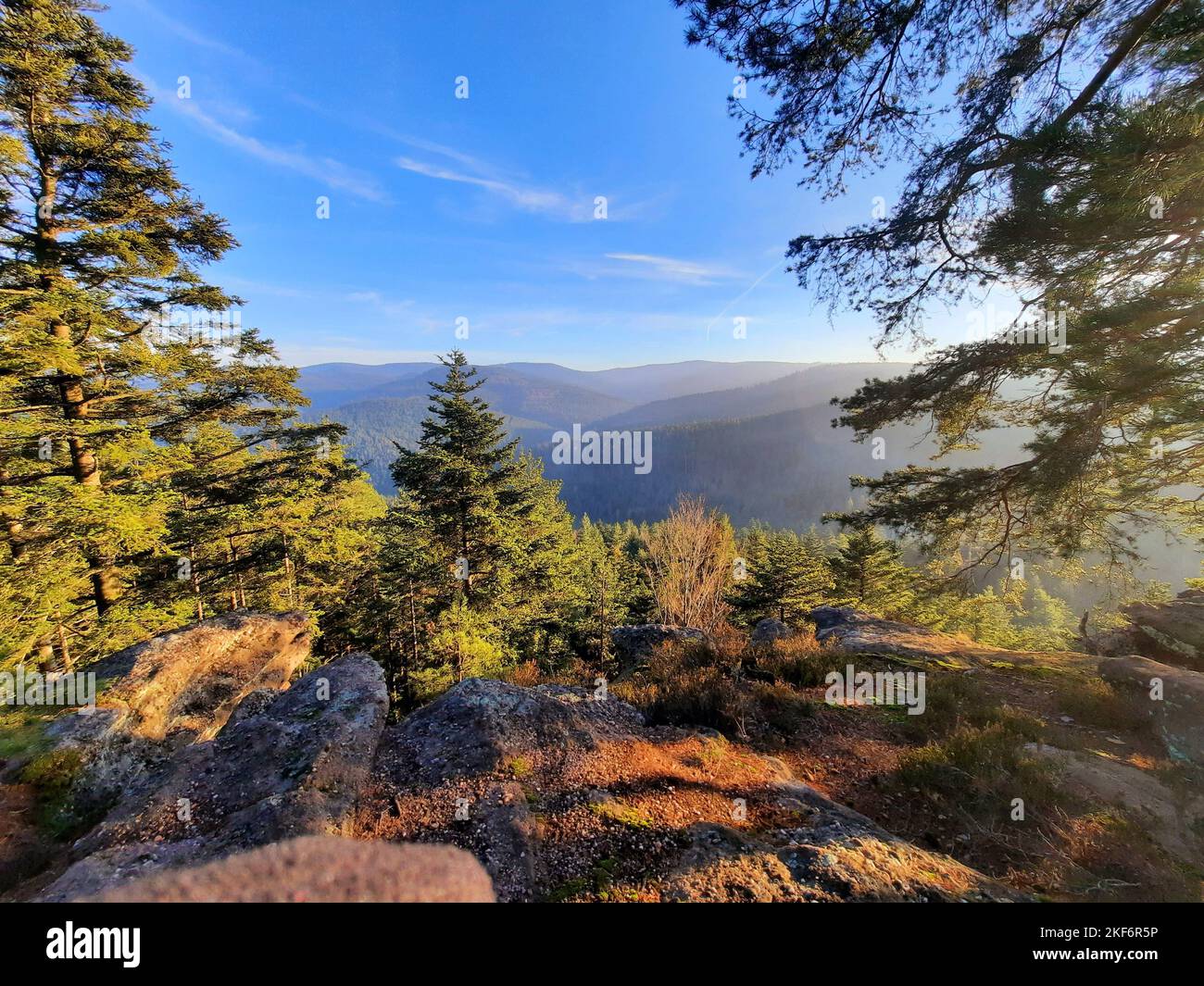 Stunning nature landscape of huge rocks surrounded by tall pine trees ...
