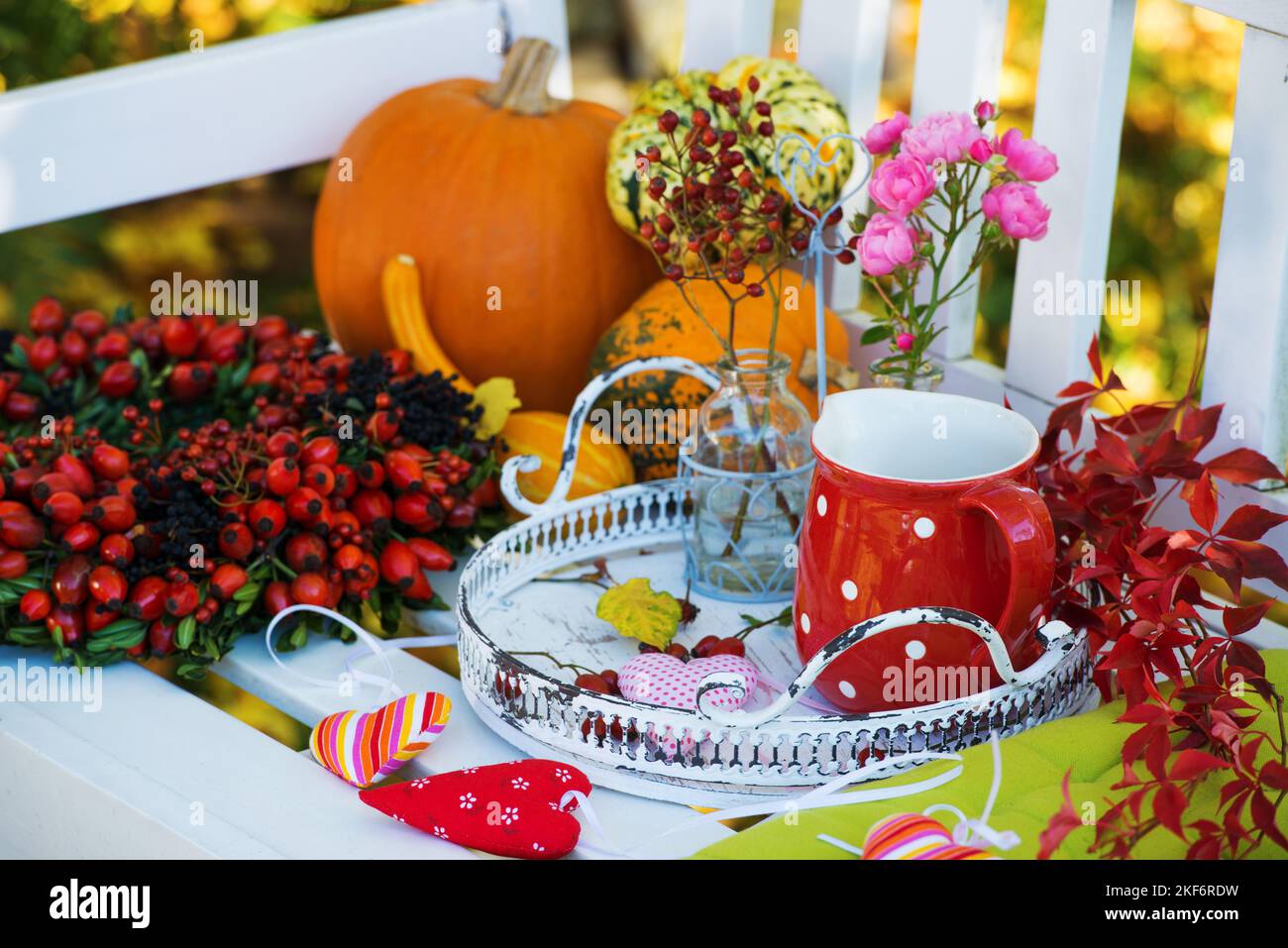 Autumn in a garden Stock Photo - Alamy