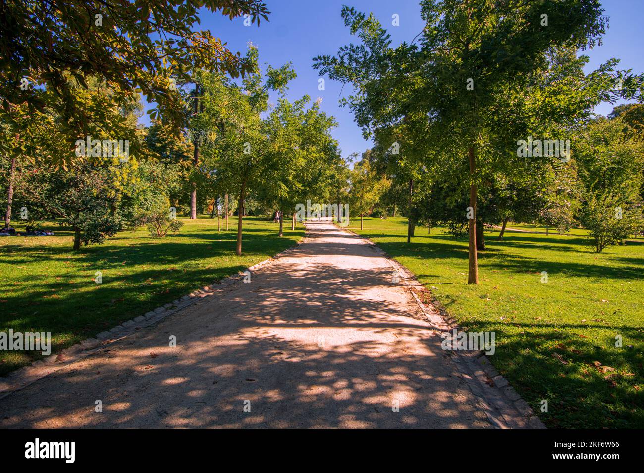 The view of a pathway splitting the grass fields with trees under the ...
