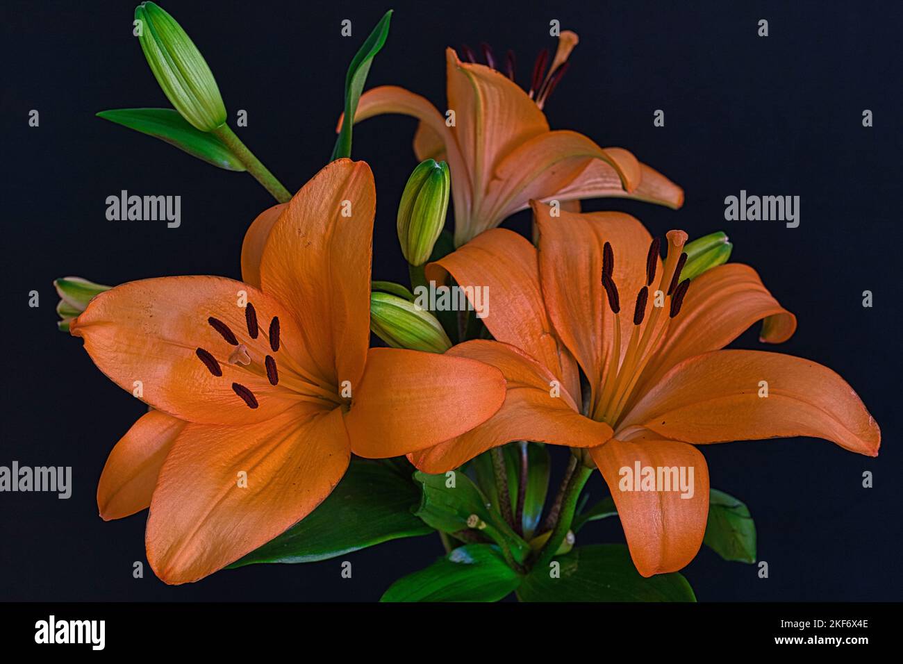 Jimmy banes hi-res stock photography and images - Alamy