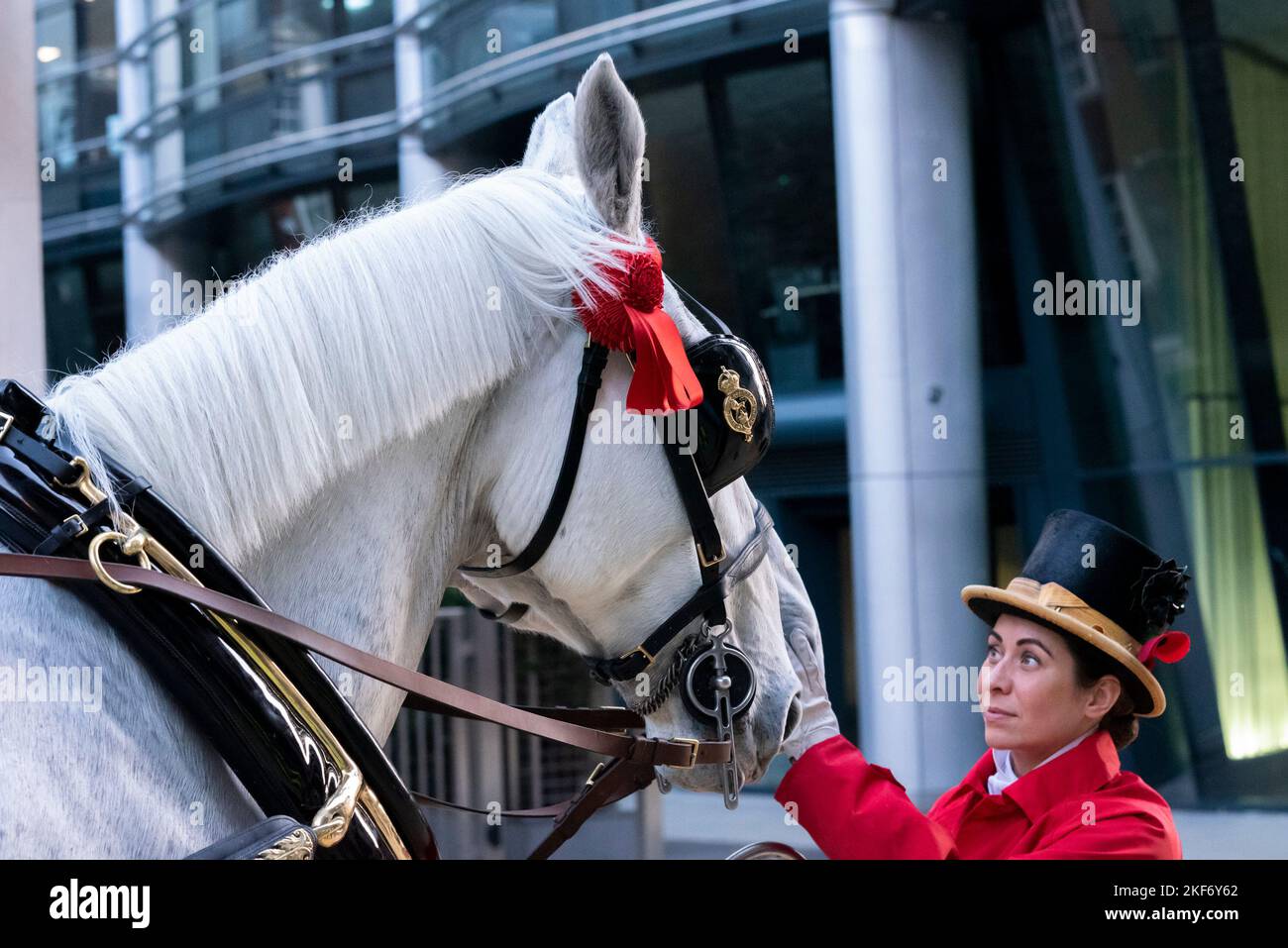 Female groom with horse at the Lord Mayor's Show parade in the City of ...