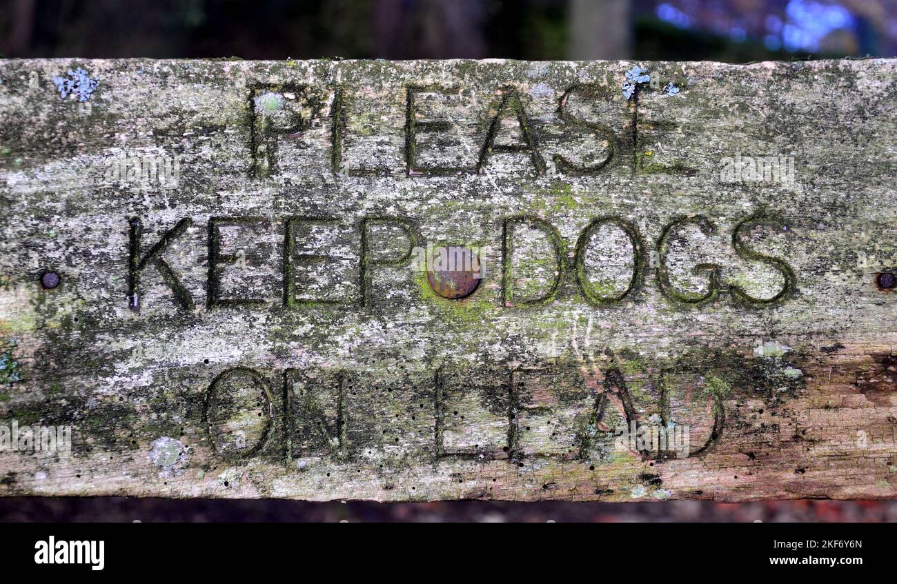 Sign "Please keep dogs on lead" carved into wood Stock Photo - Alamy