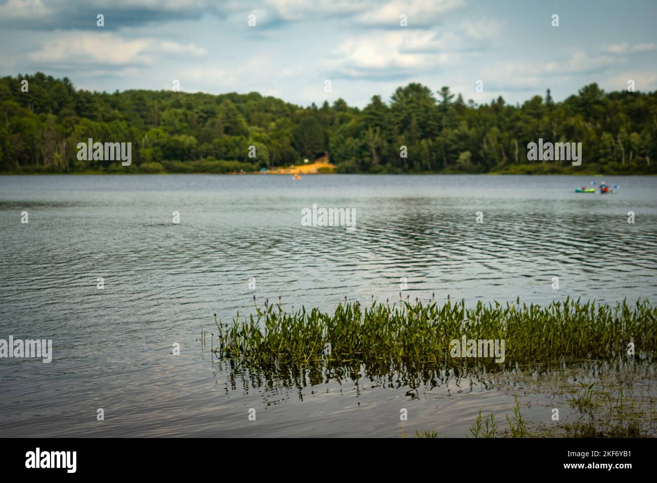 Lake Mayflower at Arrowhead provincial park north of Huntsville, Ontario, Canada Stock Photo - Alamy