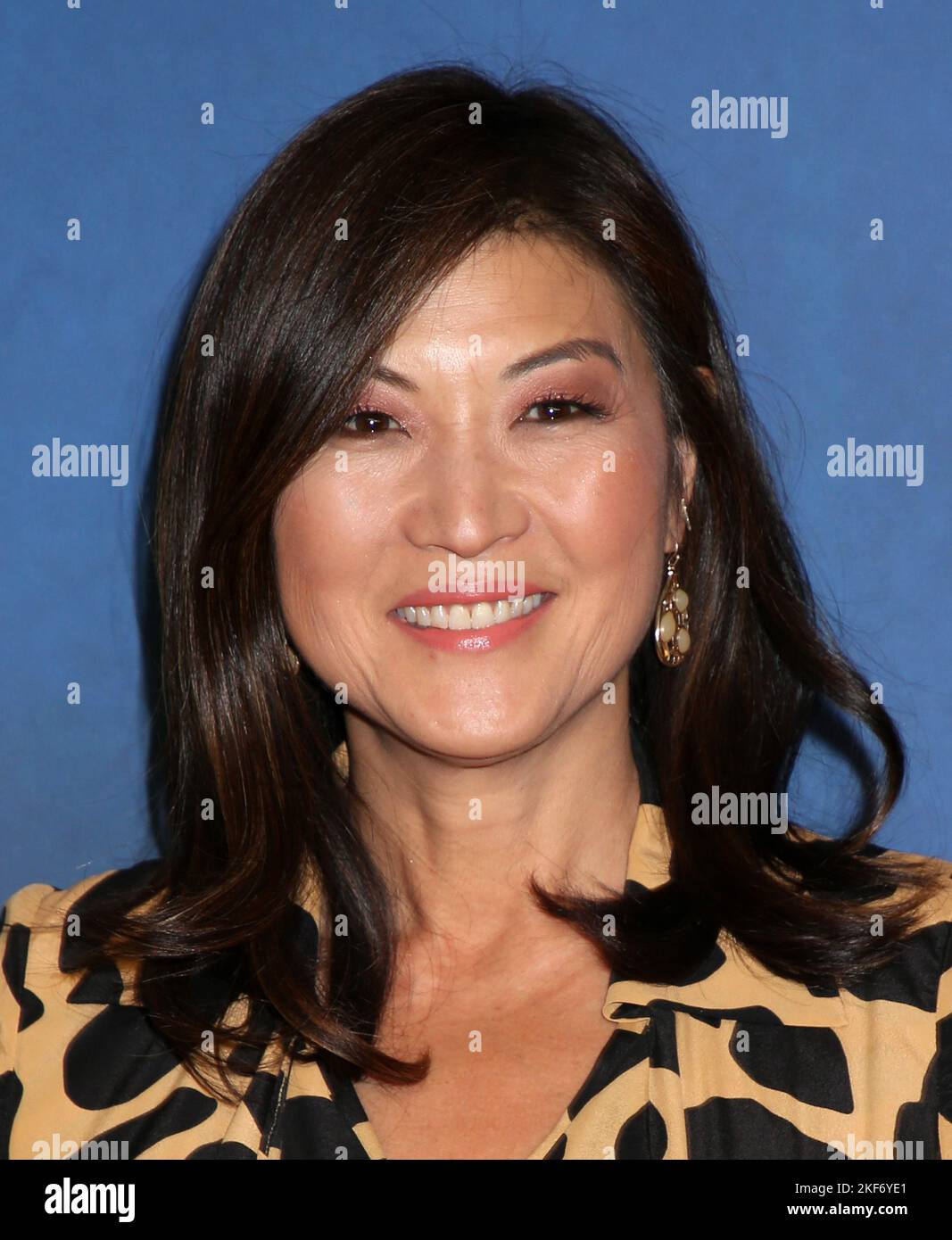 New York City, NY, 15/11/2022,Juju Chang attending the 'Limitless' with Chris Hemsworth Premiere ...