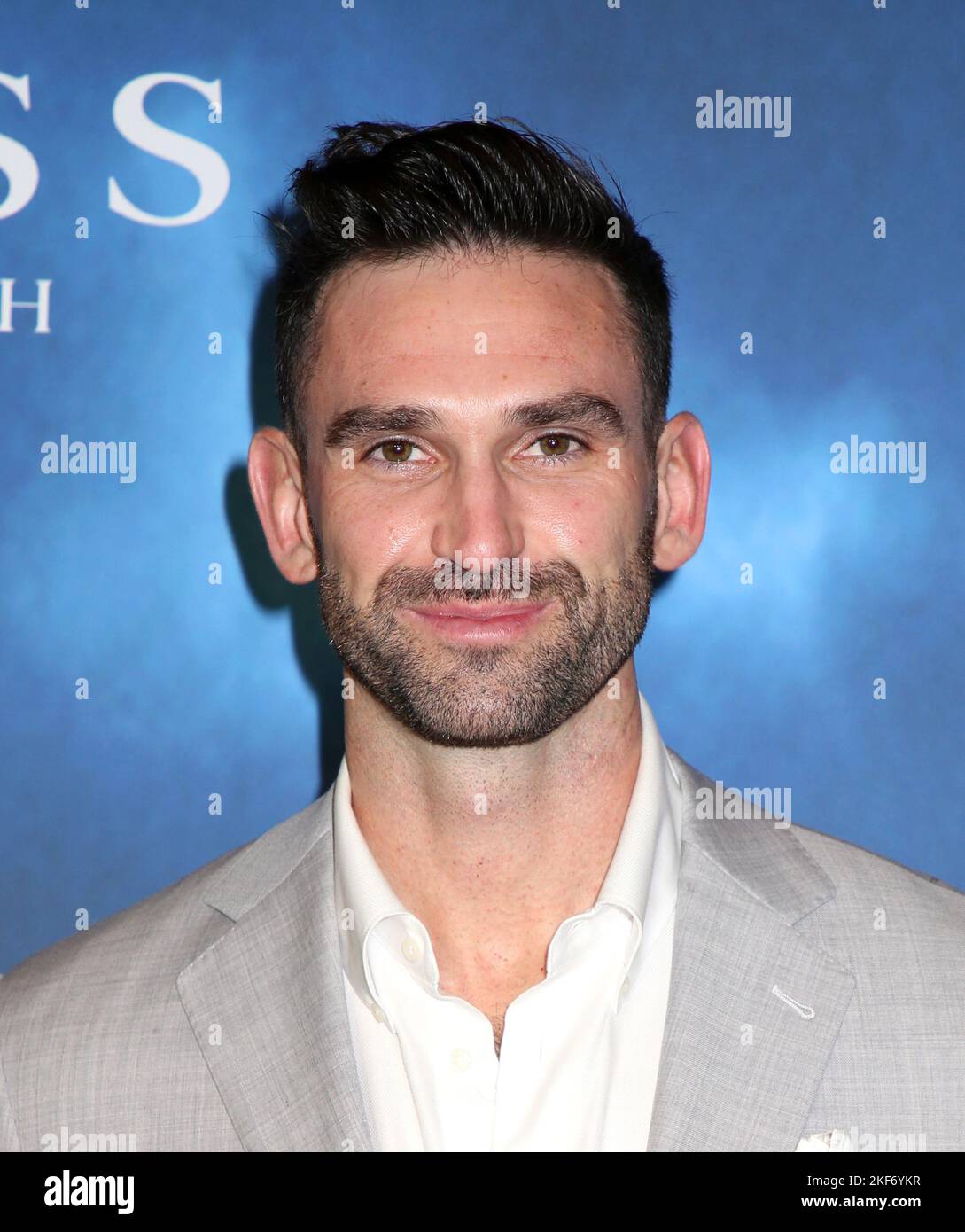 New York City, NY, 15/11/2022,Carl Radke attending the 'Limitless' with ...